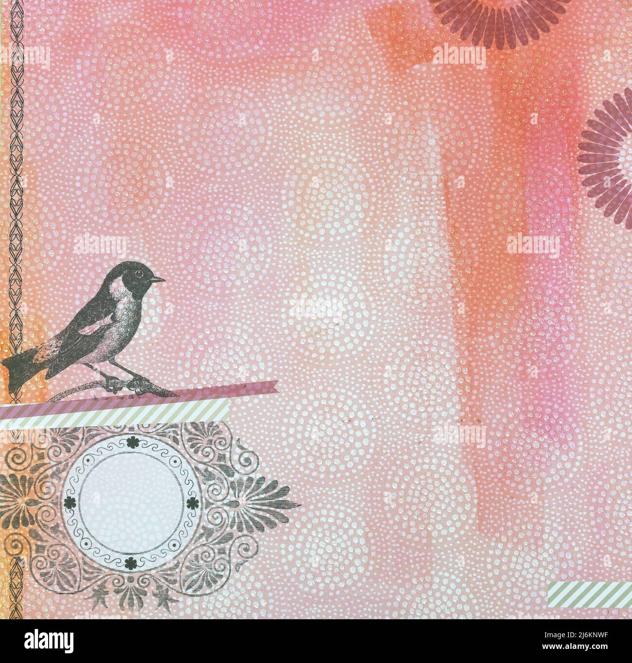 Abstract grunge effect background bird theme Stock Photo - Alamy