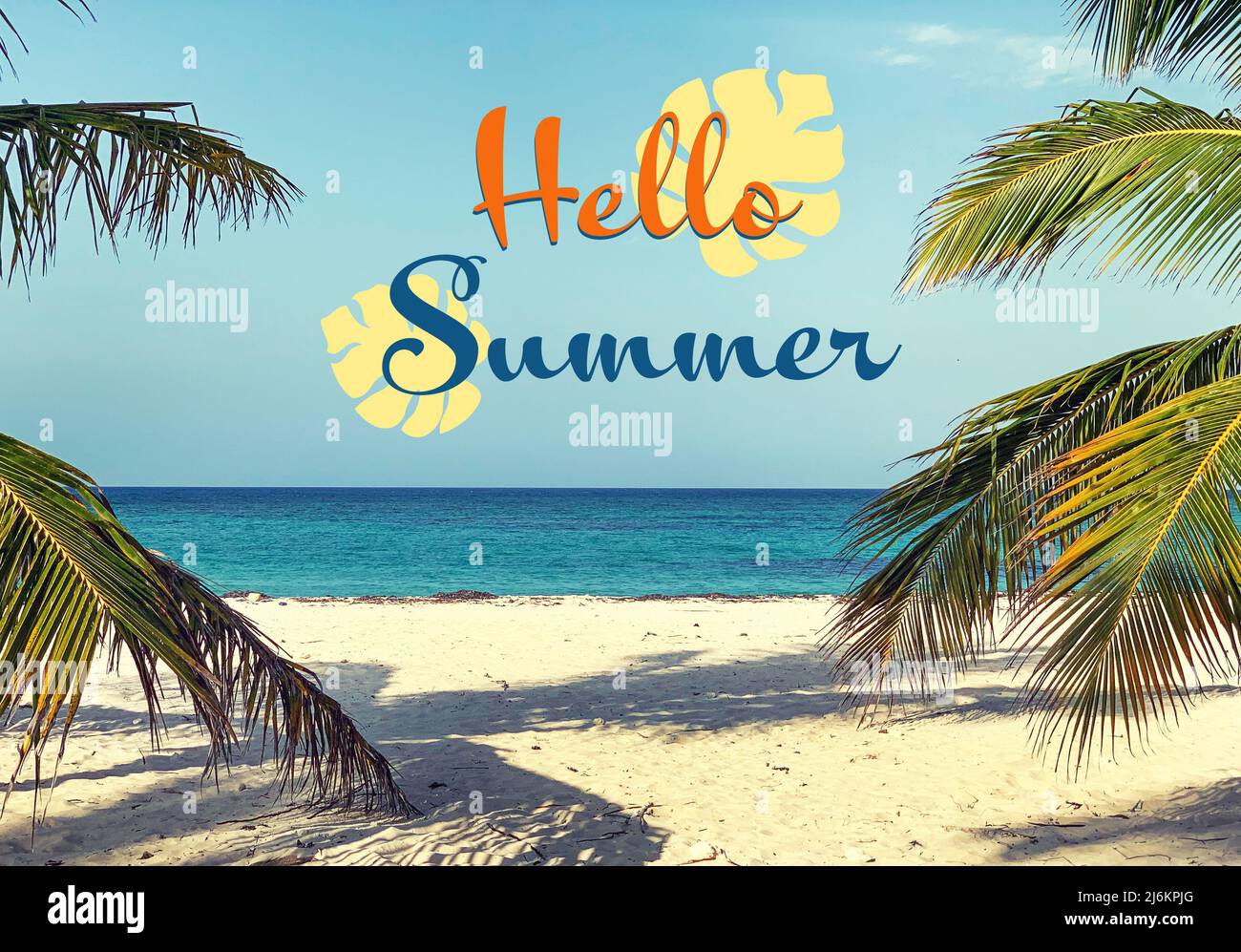 Tropical beach with green palms at sea resort. Hello, summer Stock ...