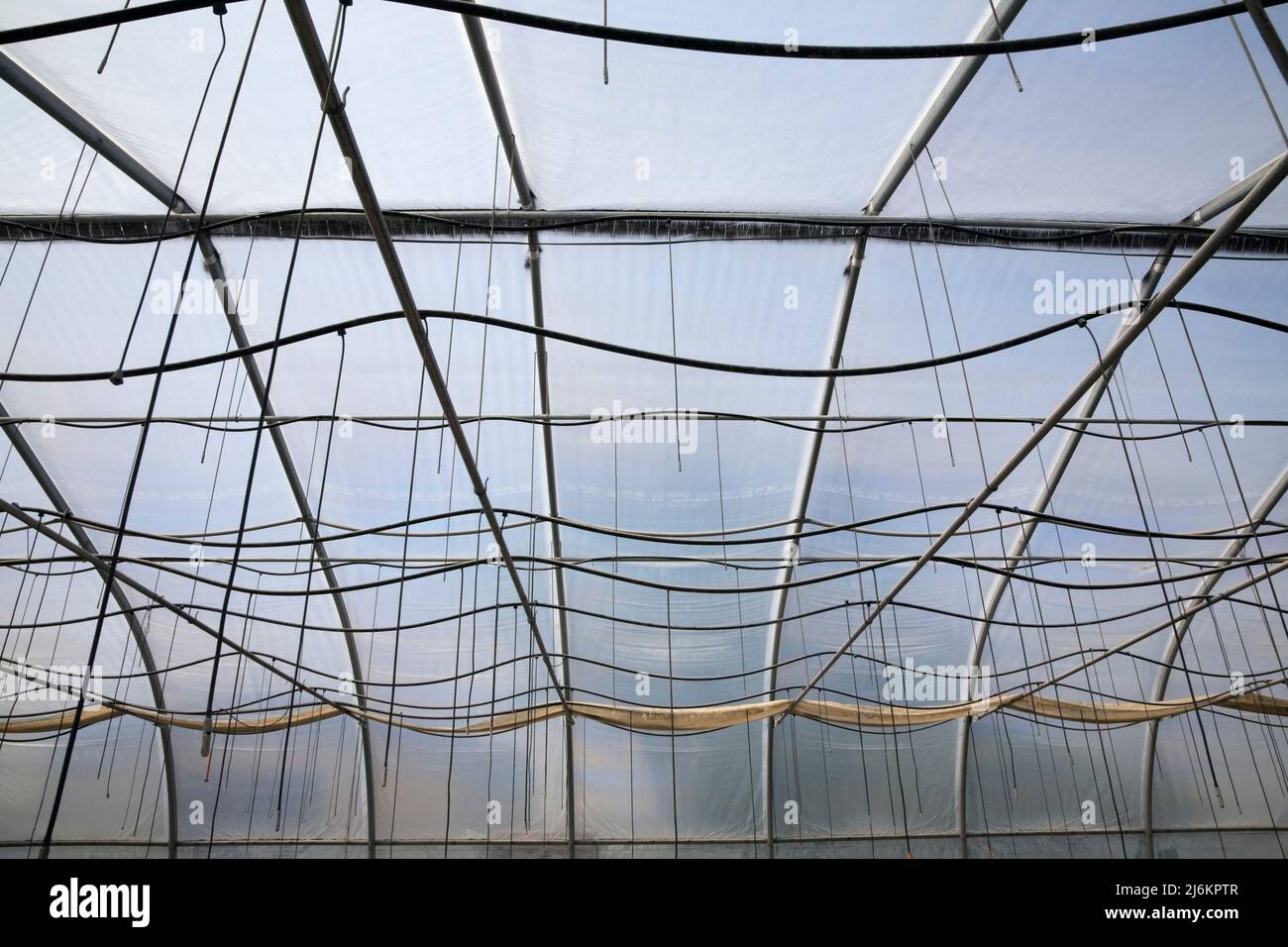 Plastic rods and tubes hi-res stock photography and images - Alamy
