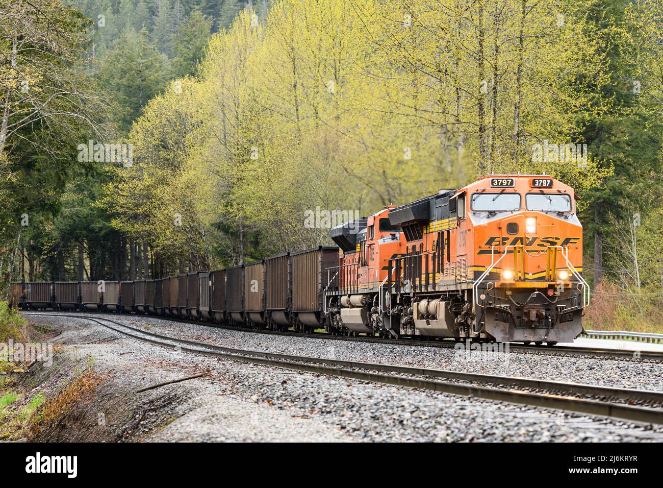Skykomish, WA, USA - April 26, 2022; Empty BNSF coal train climbs eastbound into the Cascade ...