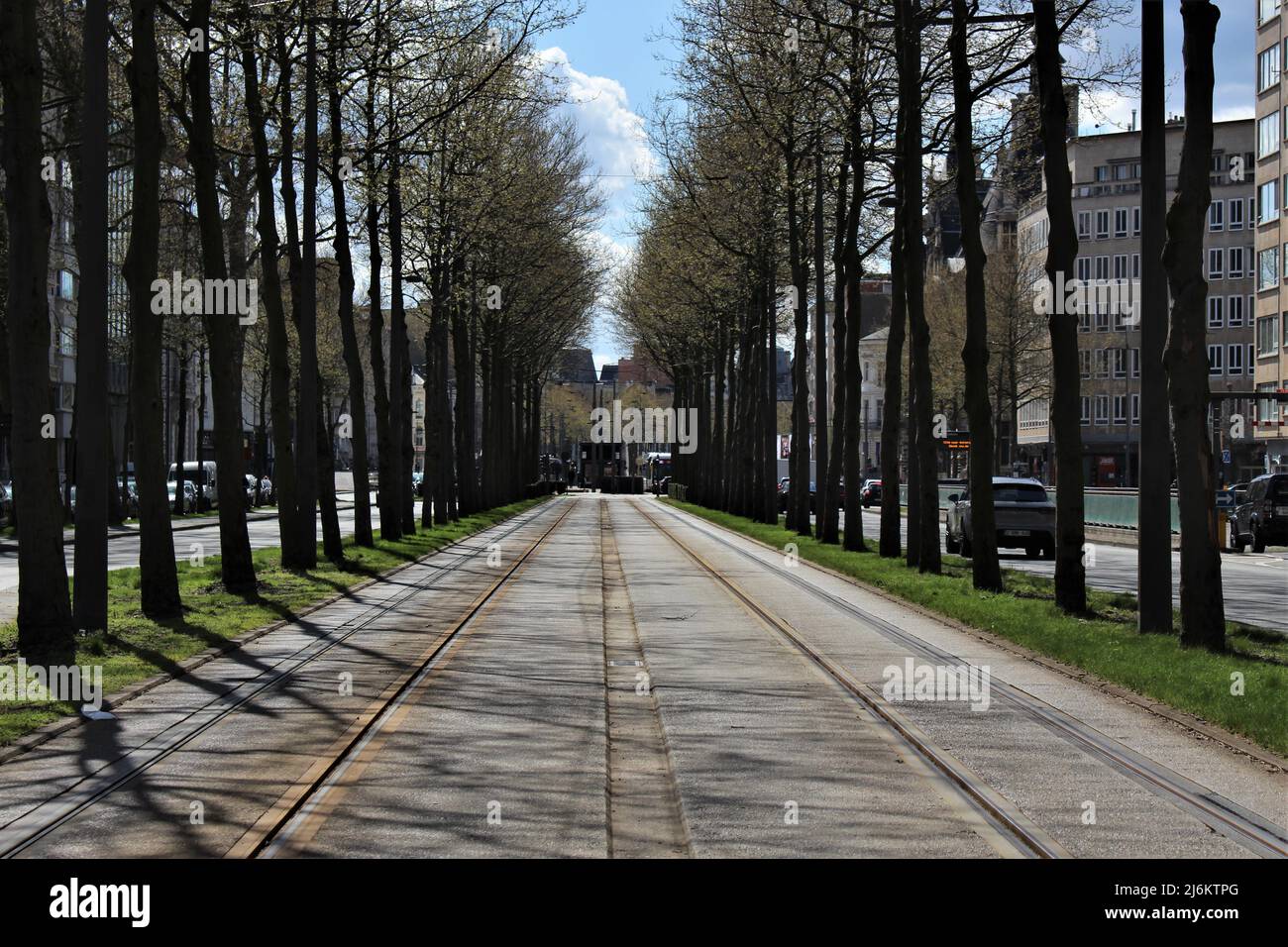 tree lined tram path in Antwerp Stock Photo - Alamy