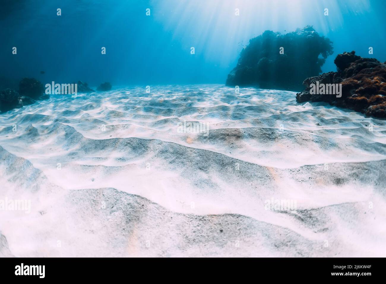 Tropical transparent ocean with white sand and corals underwater Stock ...