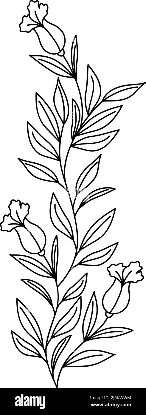 flower branch design Stock Vector Image & Art - Alamy