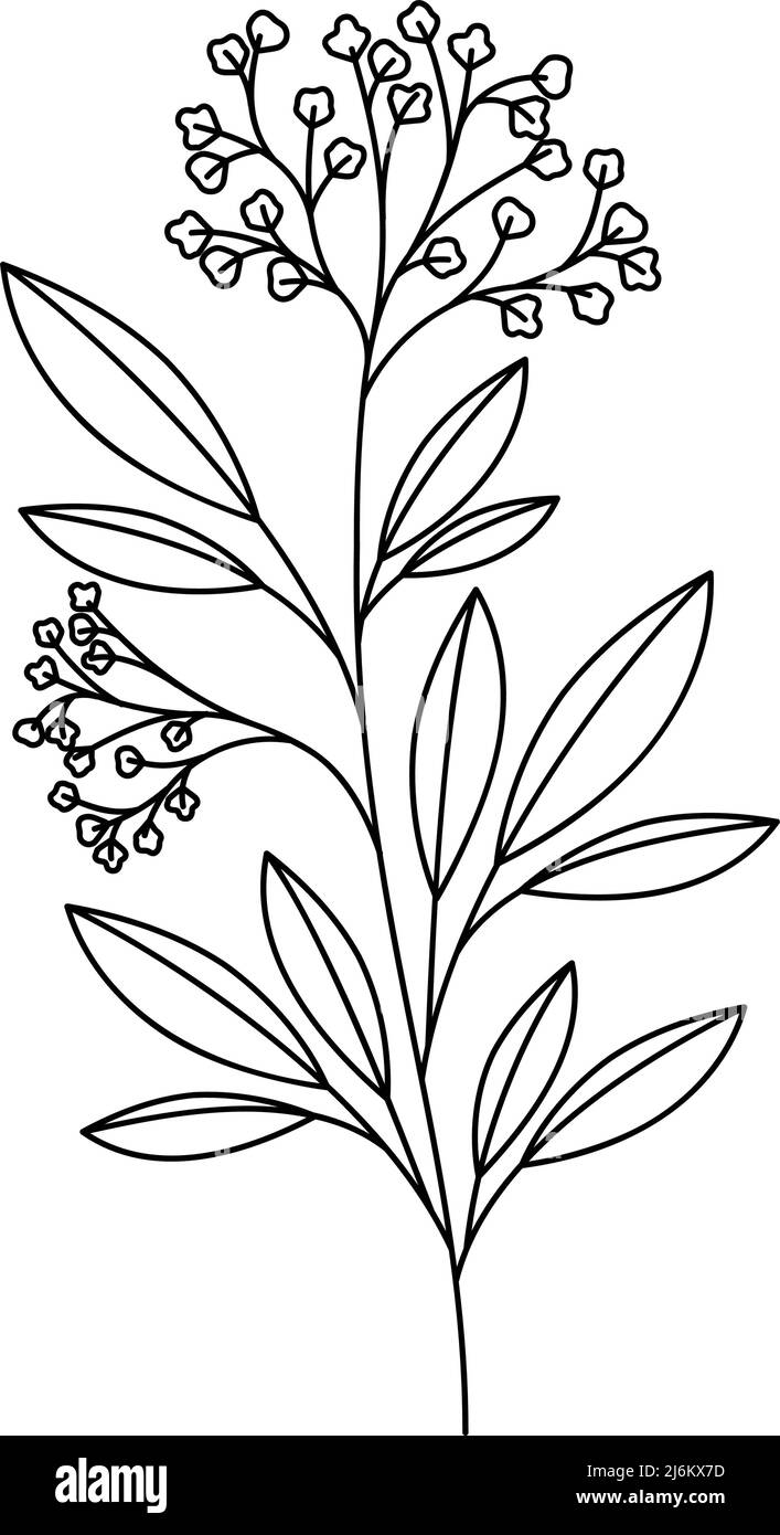 plant branch design Stock Vector Image & Art - Alamy