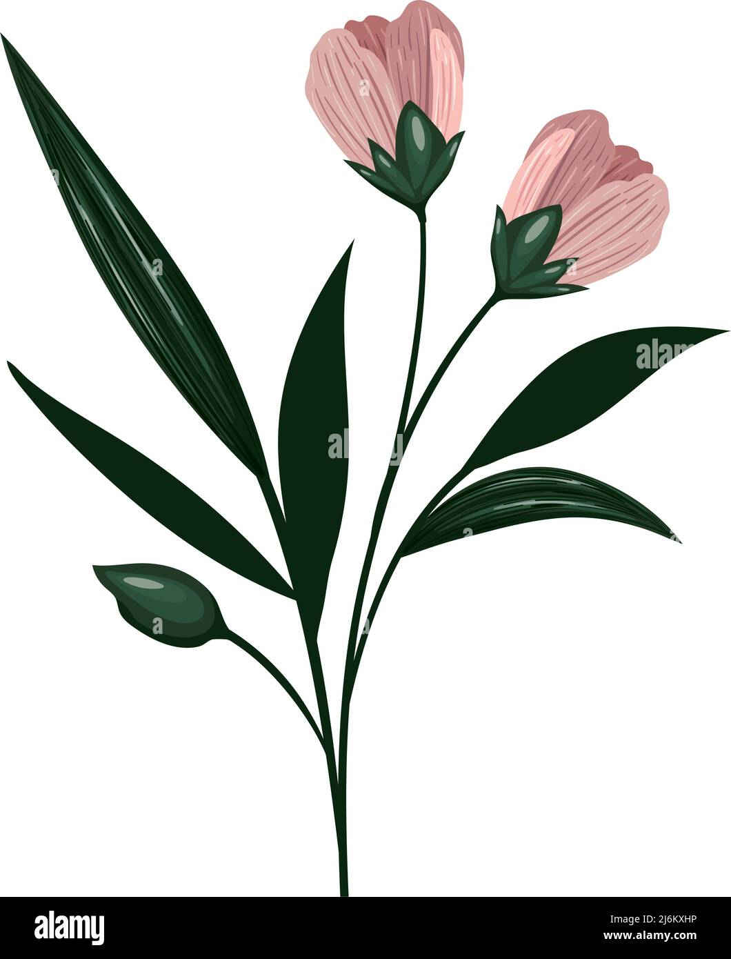 pink roses design Stock Vector Image & Art - Alamy