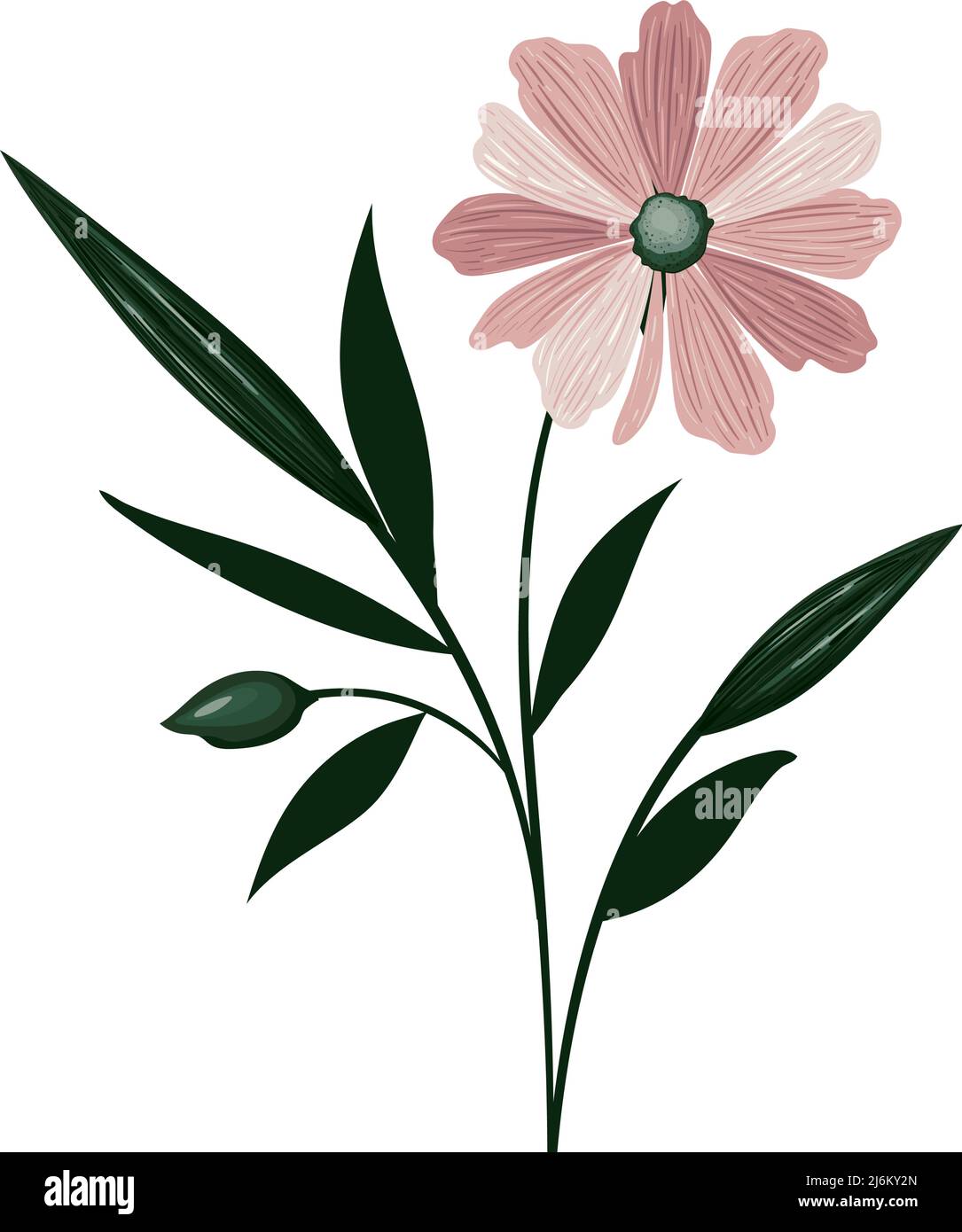 pink flower design Stock Vector Image & Art - Alamy