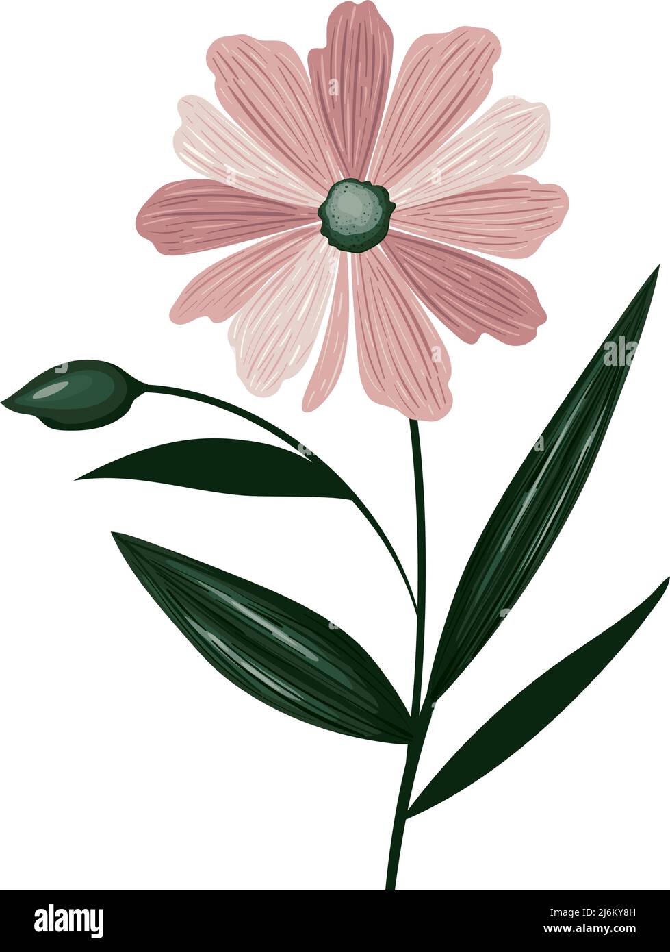 pink flower illustration Stock Vector Image & Art - Alamy