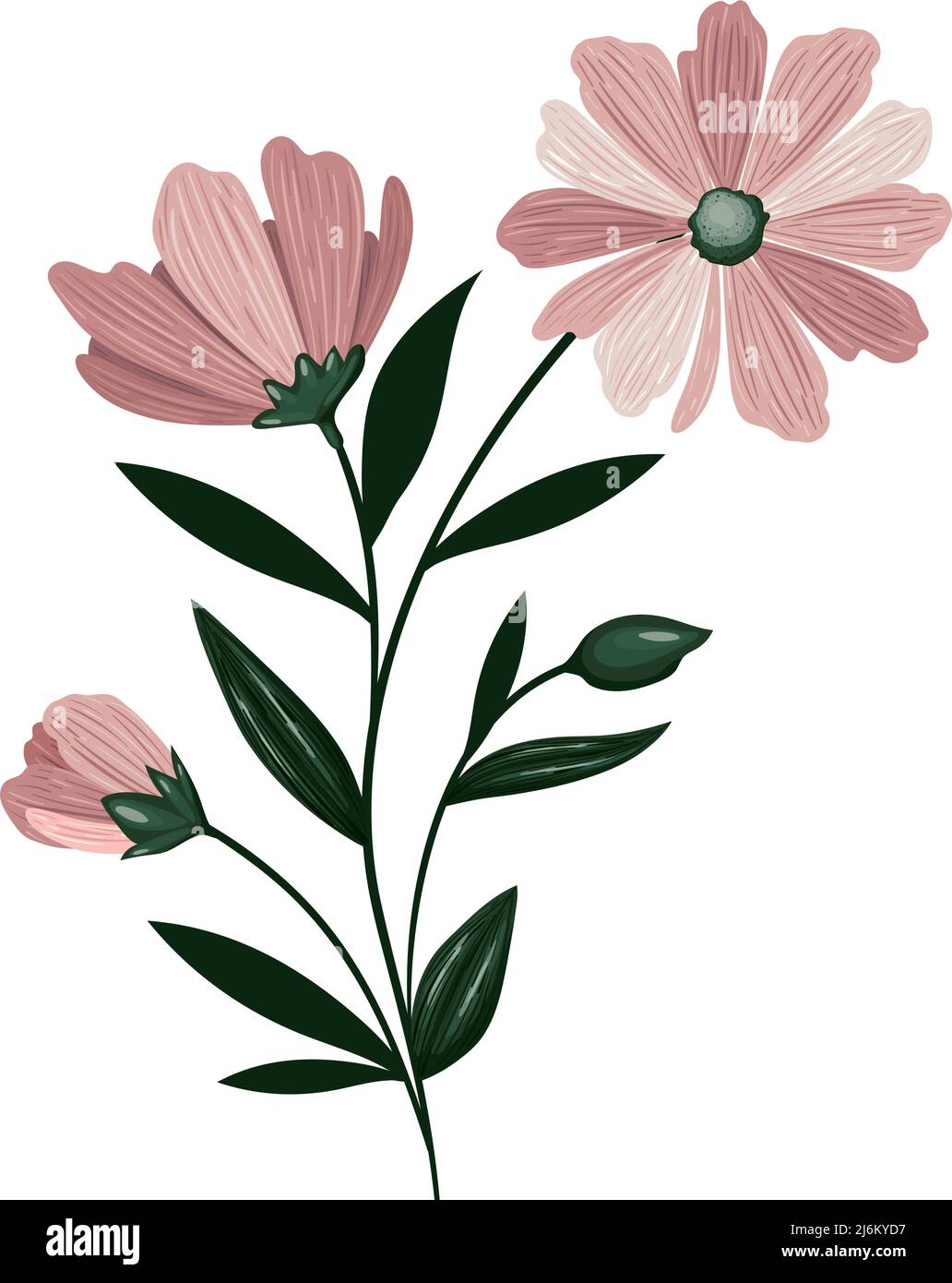 pink flowers illustration Stock Vector Image & Art - Alamy