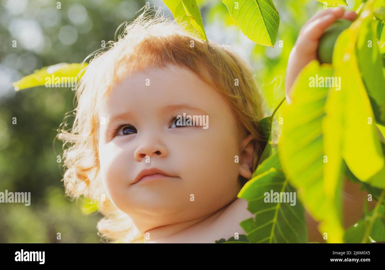 Portrait of a cute child baby boy with green leaves. Close up caucasian ...