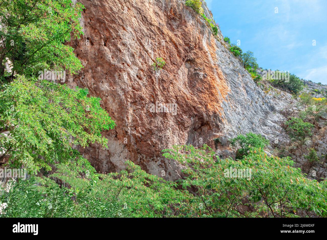 Mountain wall with trees . Vertical rocky cliff Stock Photo - Alamy