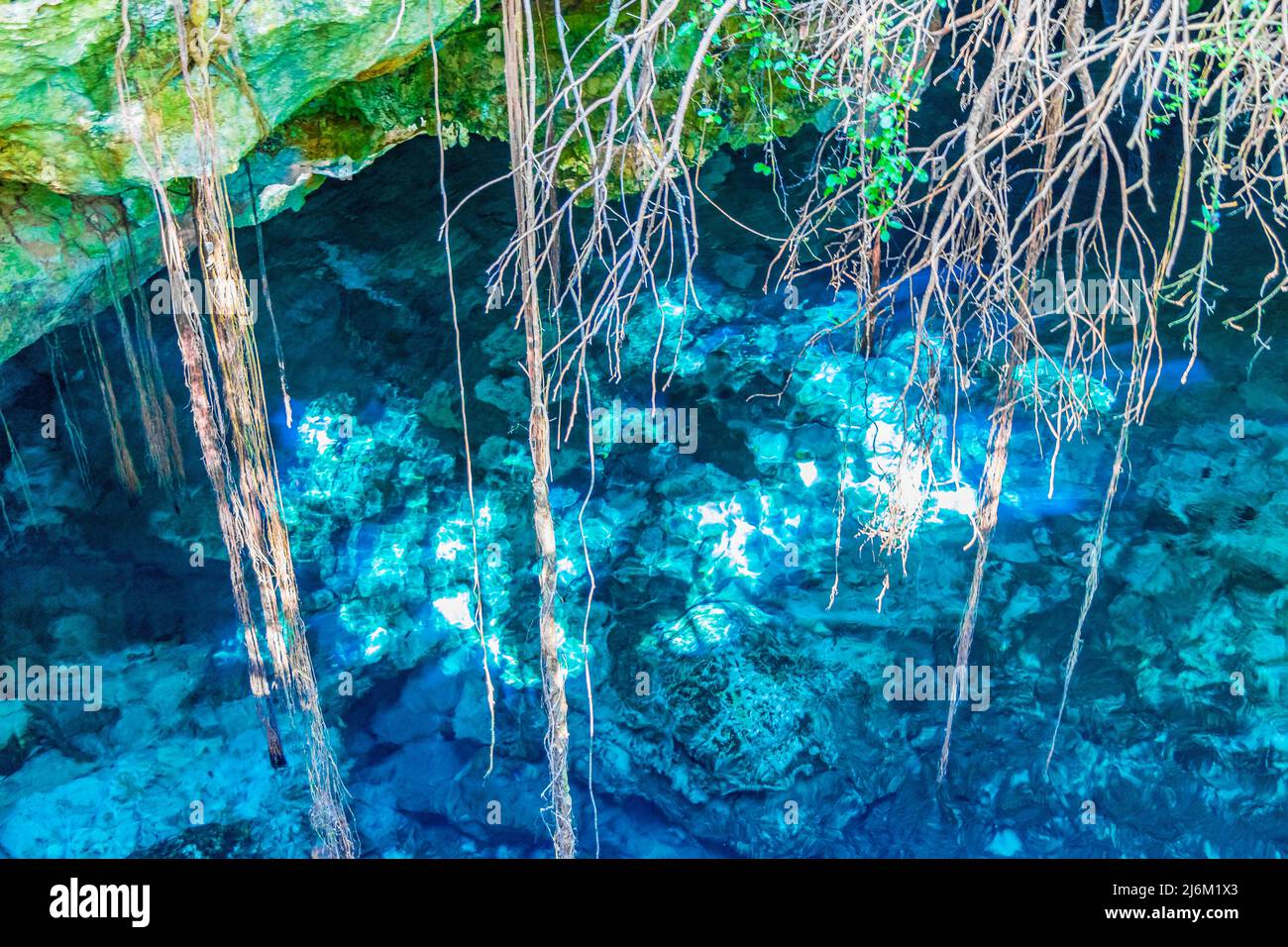 Amazing blue turquoise water and limestone cave sinkhole cenote Tajma ...