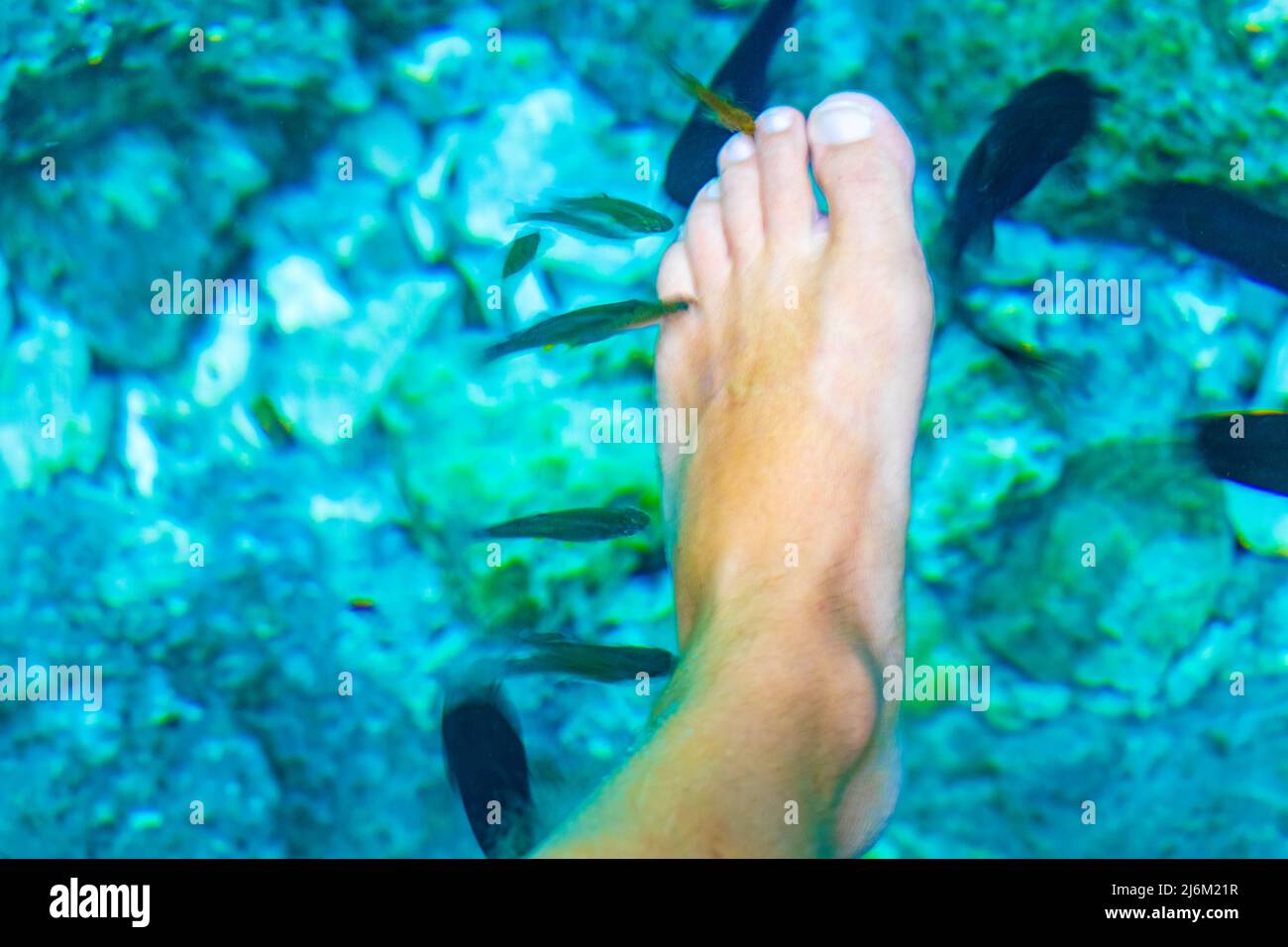 Fish spa pedicure fish bite feet in the amazing blue turquoise water ...