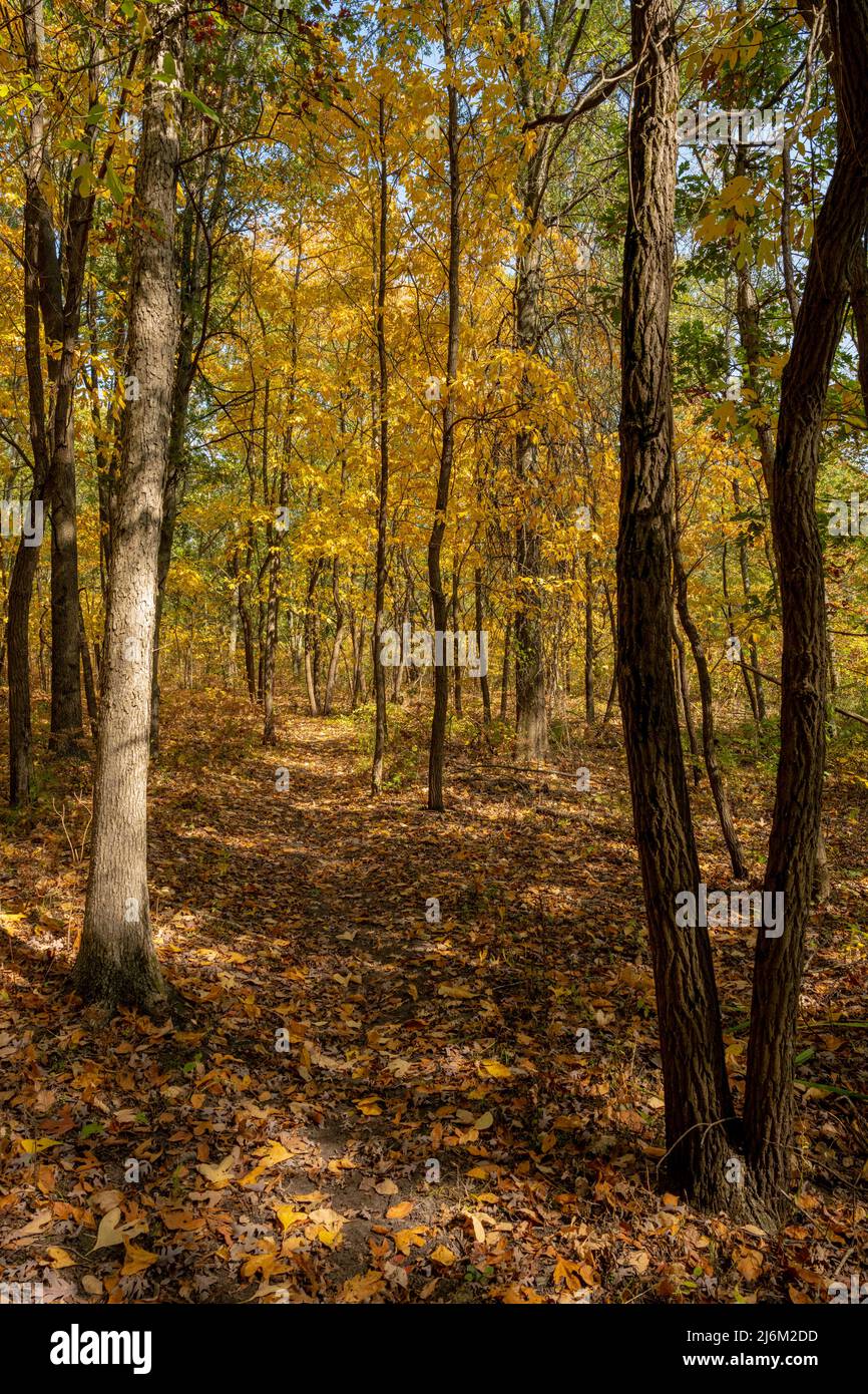 Indiana dunes national park hiking hi-res stock photography and images ...