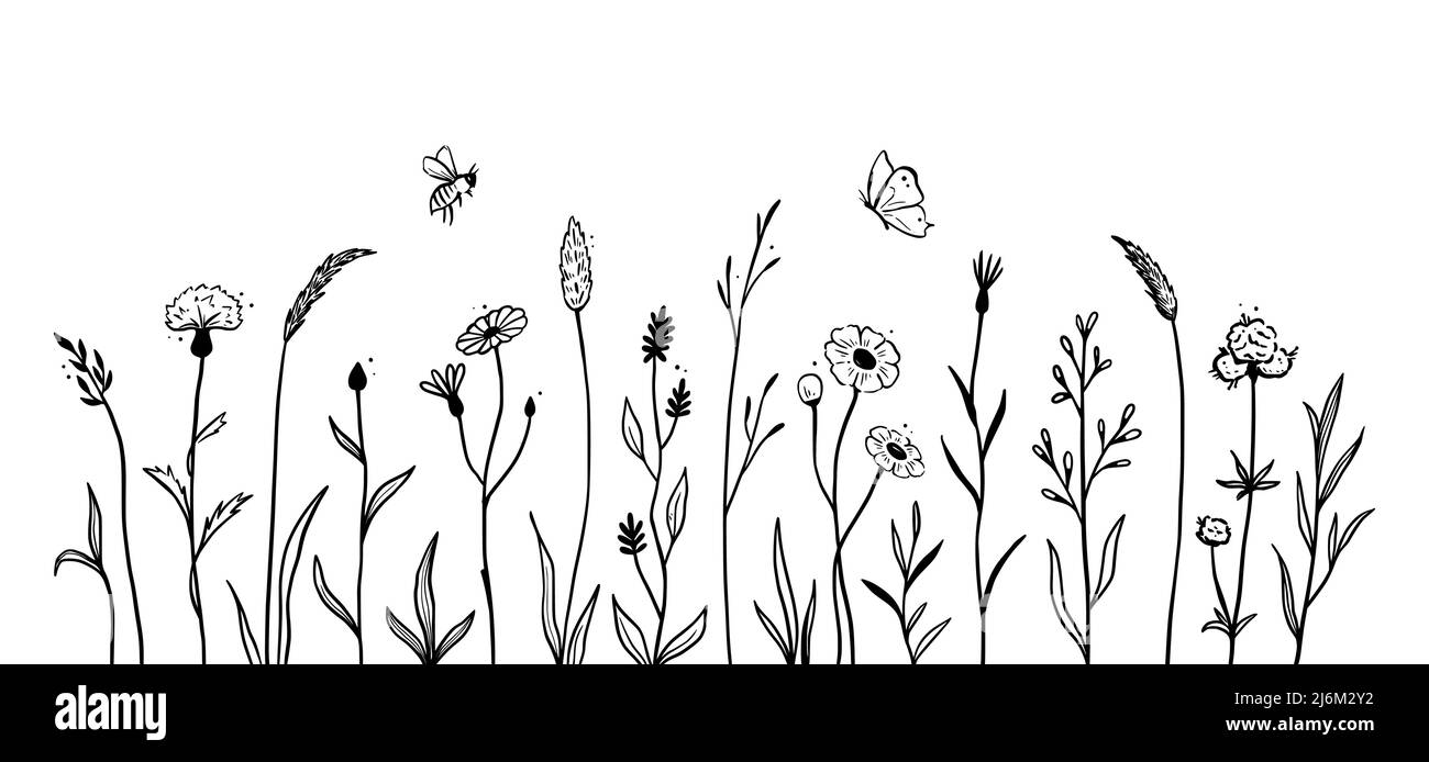 Wild field flower line set. Hand drawn doodle sketch style wild floral ...
