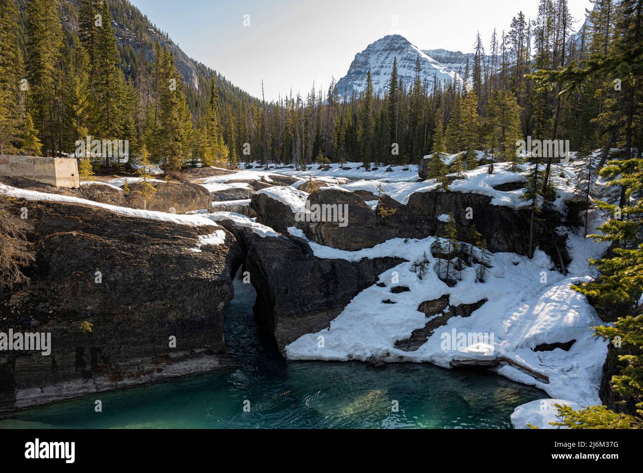 Kicking horse river banff hi-res stock photography and images - Alamy