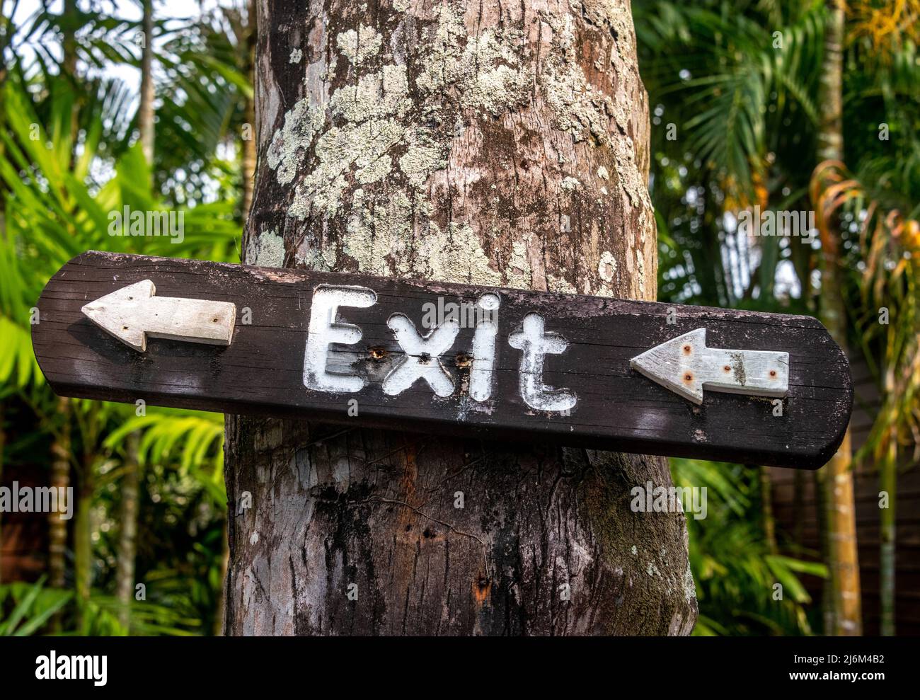 Brown wooden exit sign on a tree Stock Photo - Alamy