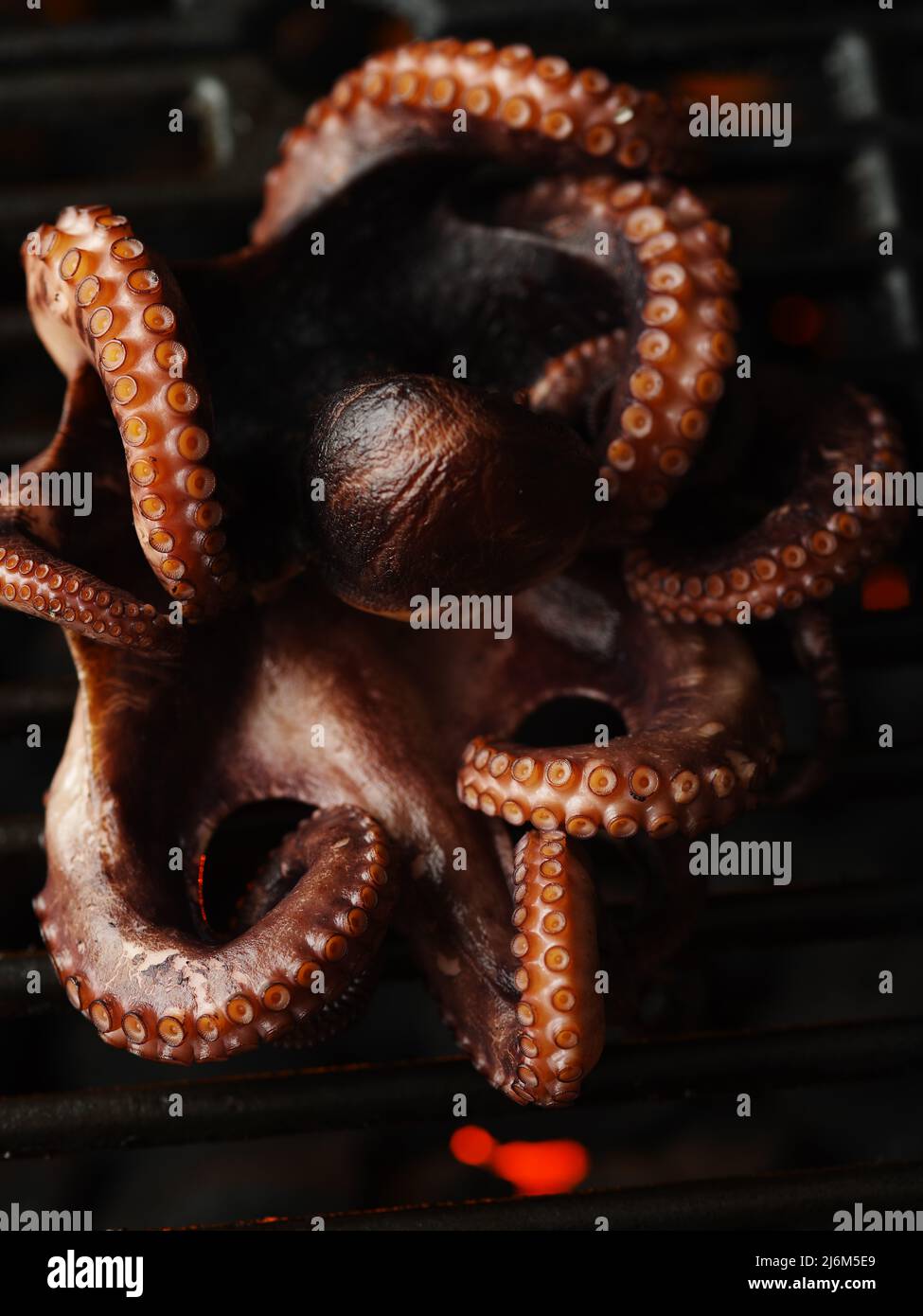 Macro shot. Big octopus is grilled. Cooking seafood dishes. Eastern ...