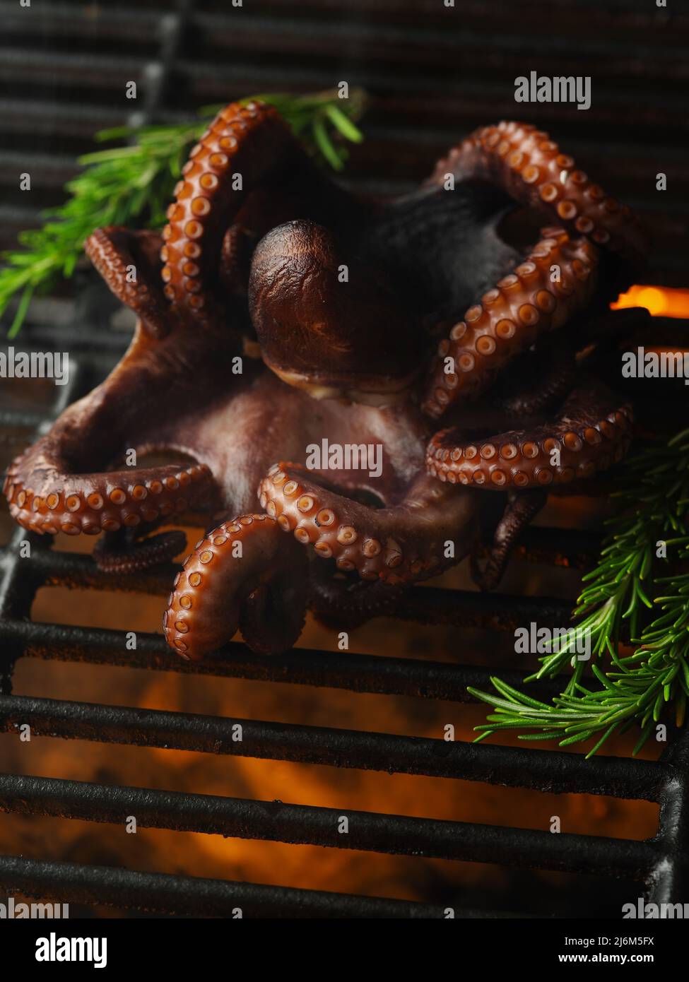 A large octopus is fried on a grill with fragrant sprigs of rosemary ...