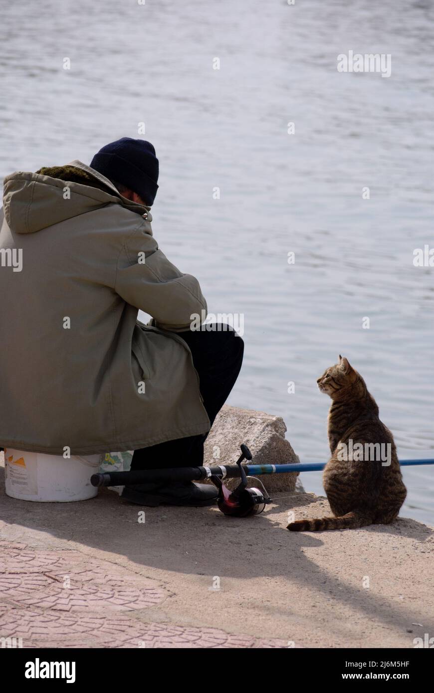 Elderly Turkish man fishing at the bay with a hungry cat watching Stock ...