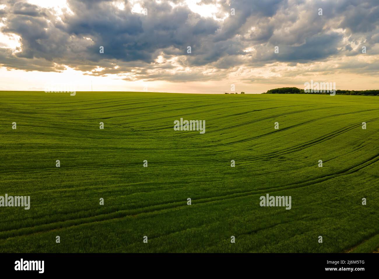 Aerial landscape view of green cultivated agricultural fields with ...