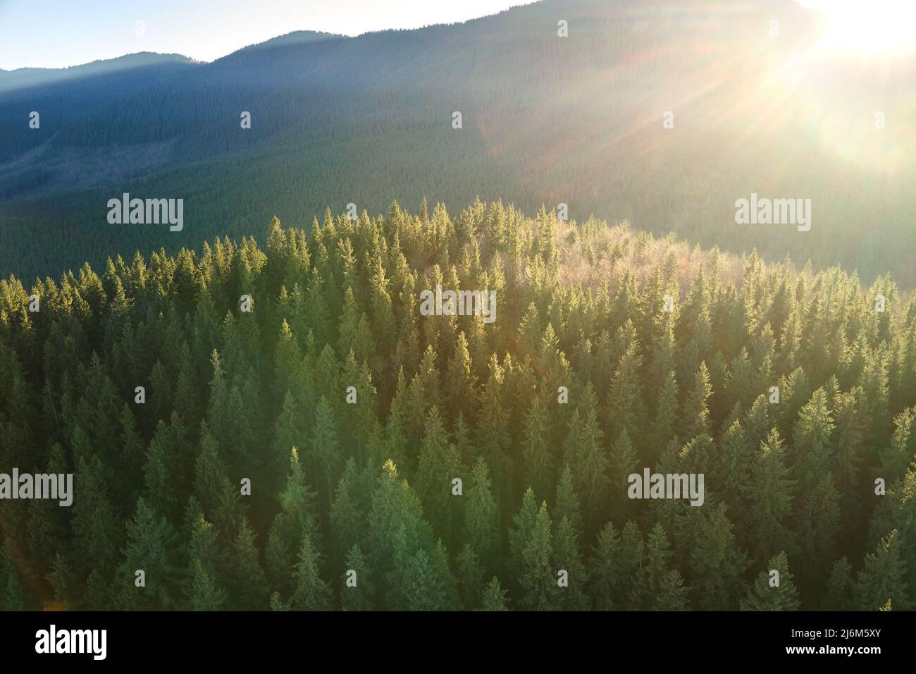 Aerial view of amazing scenery with light beams shining through foggy ...