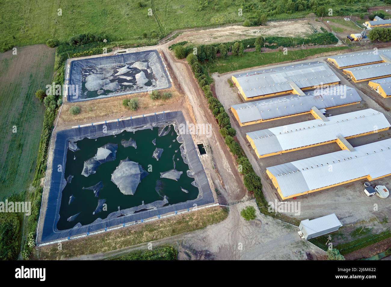 Aerial view of cattle farm buildings between green farmlands Stock ...