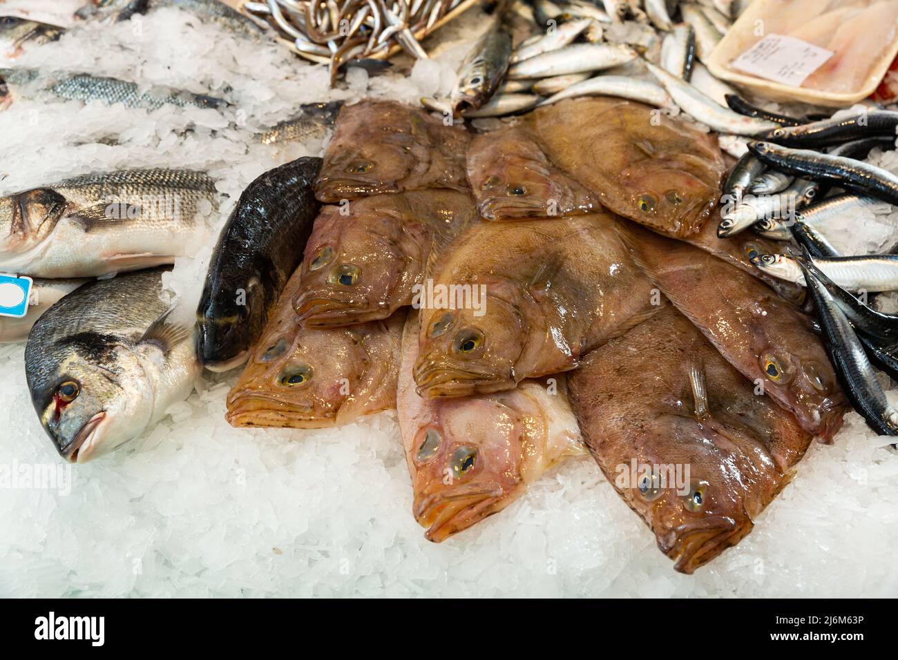 Fresh flounder fish on ice in shop Stock Photo - Alamy