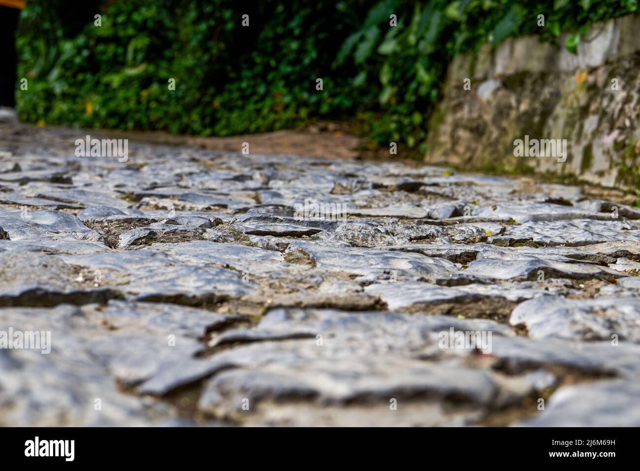 Close-up of stone road in the park Stock Photo - Alamy