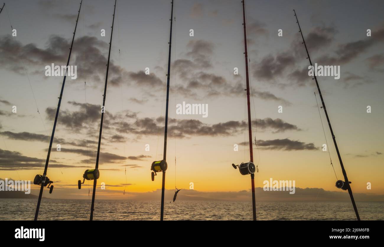 Fishing rod and reel on the sea and sunset sky Stock Photo - Alamy