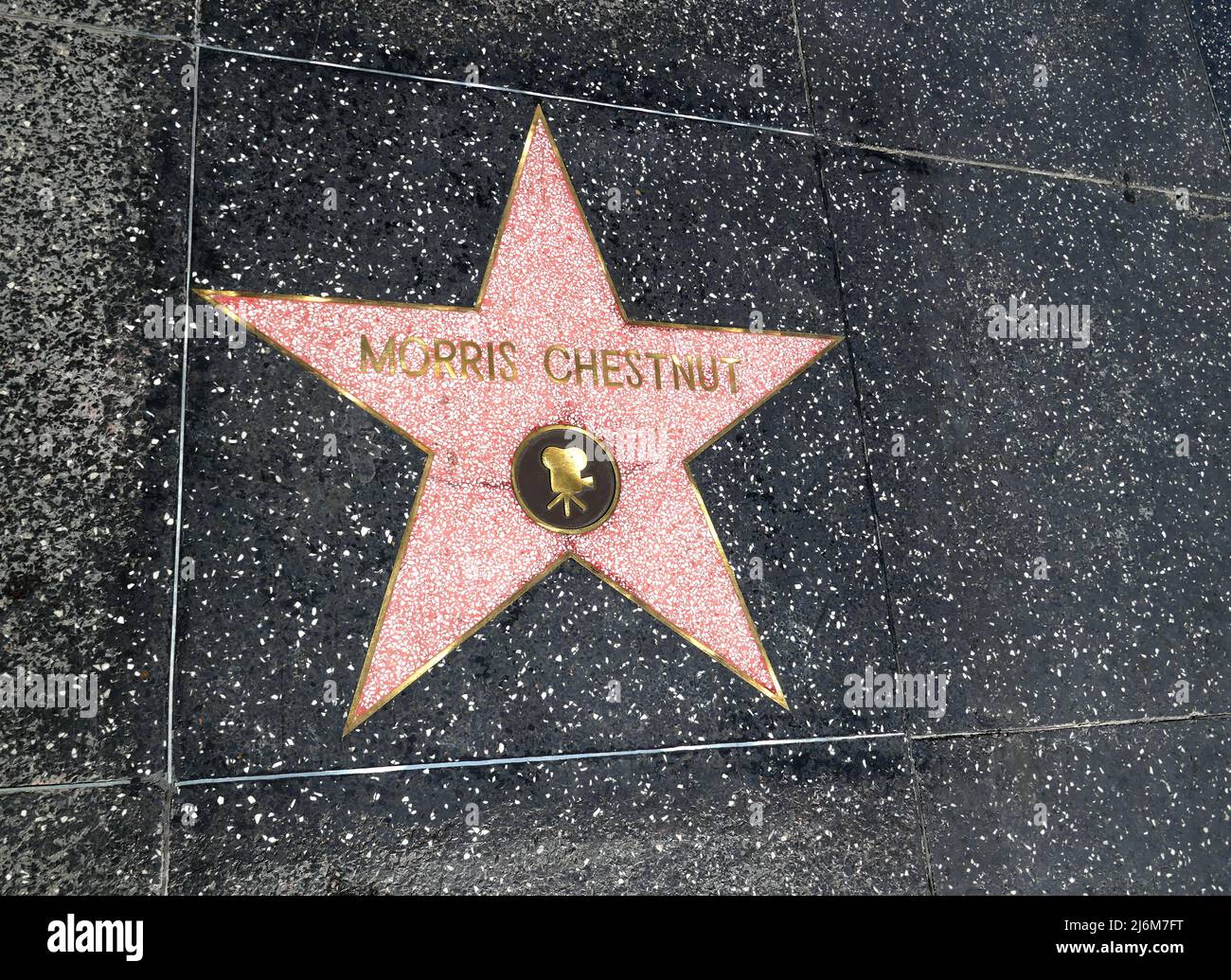 Los Angeles, California, USA 25th April 2022 Actor Morris Chestnut's ...