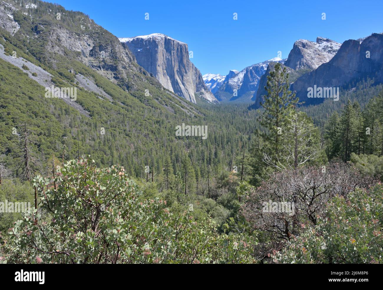 Famous El Capitan in front of the iconic Yosemite Valley (US National ...
