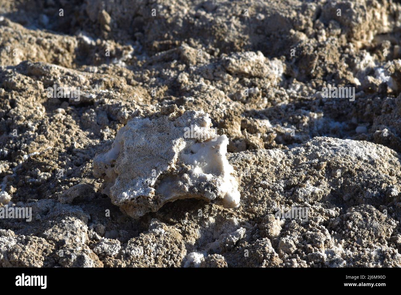 Closeup of salt formed at Badwater Basin in Death Valley National Park ...