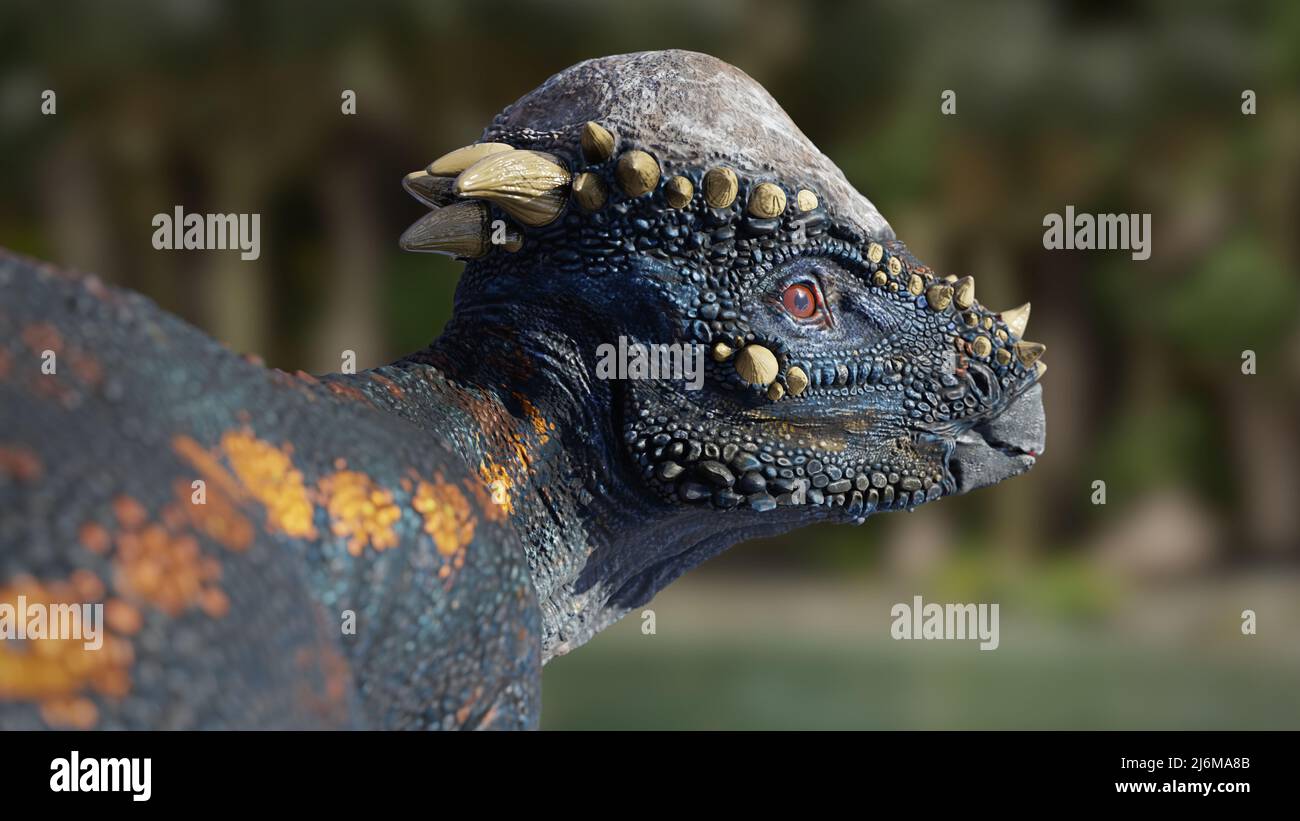 Pachycephalosaurus, dinosaur portrait, bipedal herbivore with a thick ...