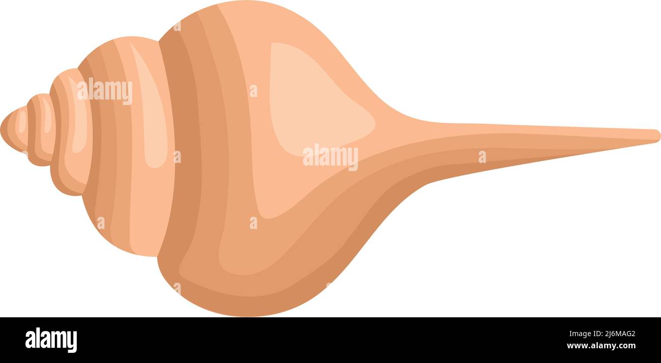orange seashell design Stock Vector Image & Art - Alamy