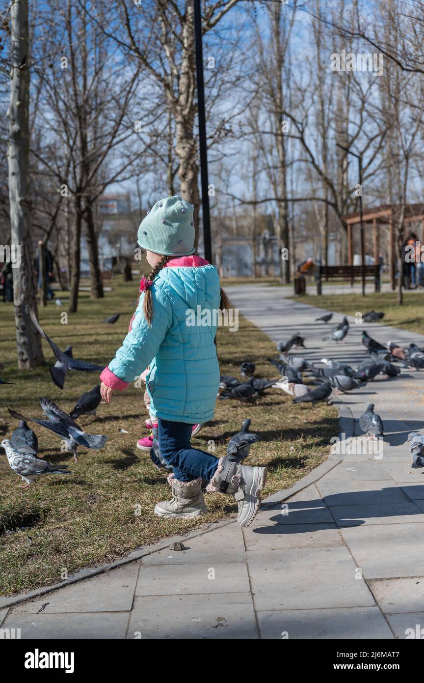A girl scares the pigeons in the city park. A flock of birds eats ...