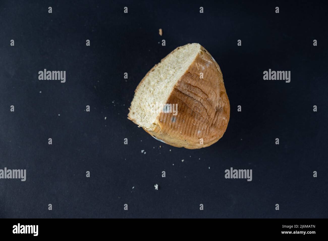 A piece of moldy bread against a black background. A stale piece of ...