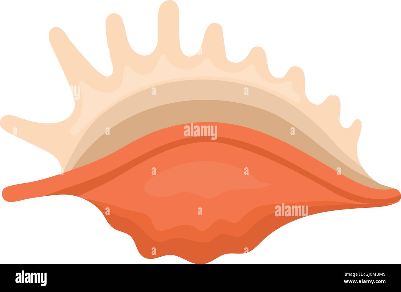 cute seashell design Stock Vector Image & Art - Alamy