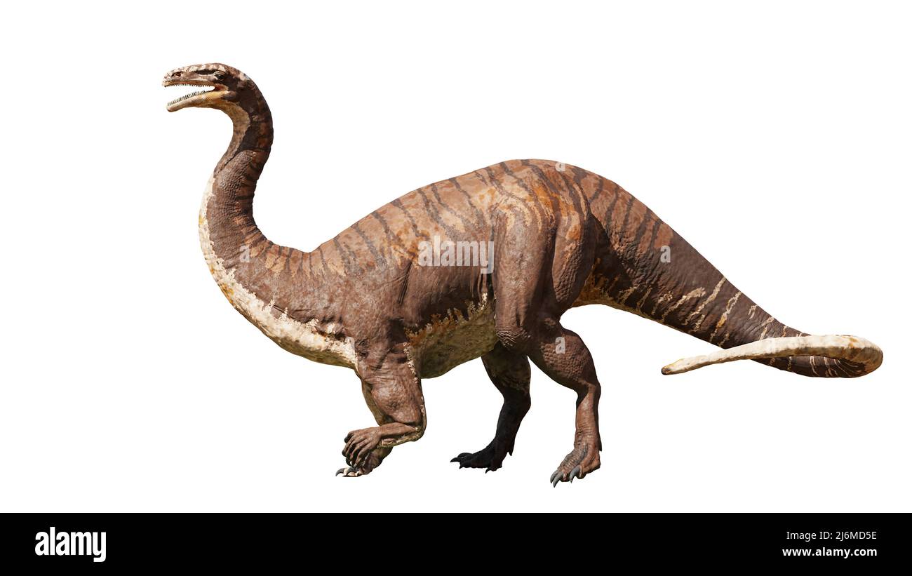 Plateosaurus, dinosaur from the Late Triassic epoch, isolated on white ...