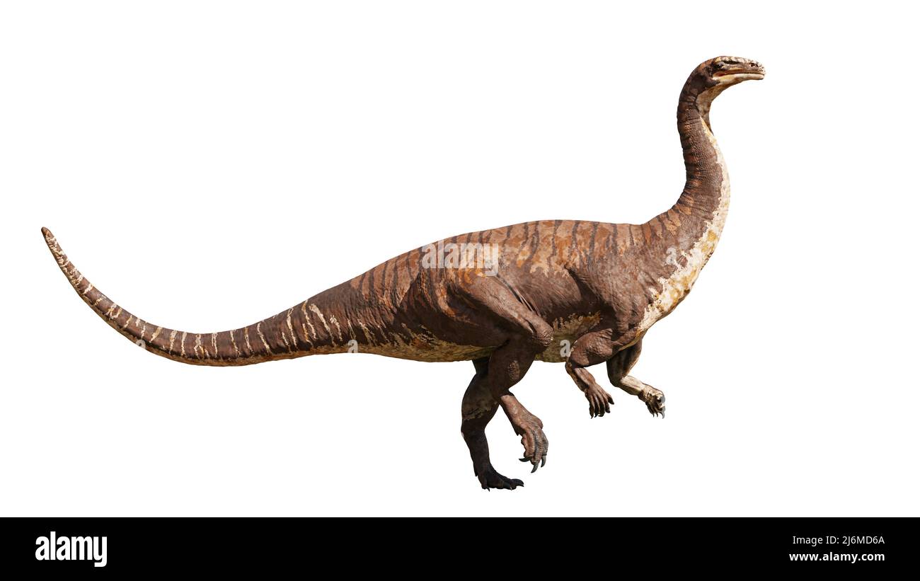 Plateosaurus, dinosaur from the Late Triassic period, isolated on white background Stock Photo ...