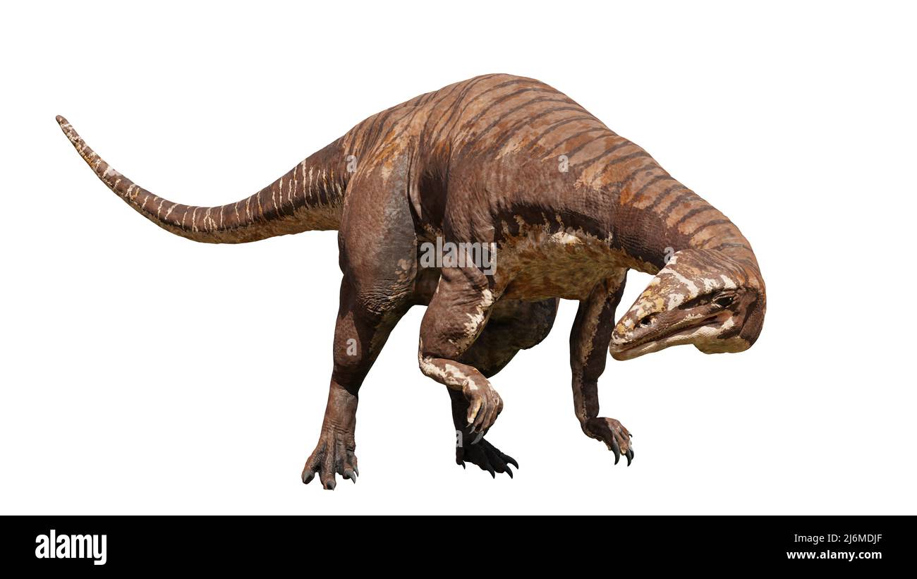 Euskelosaurus