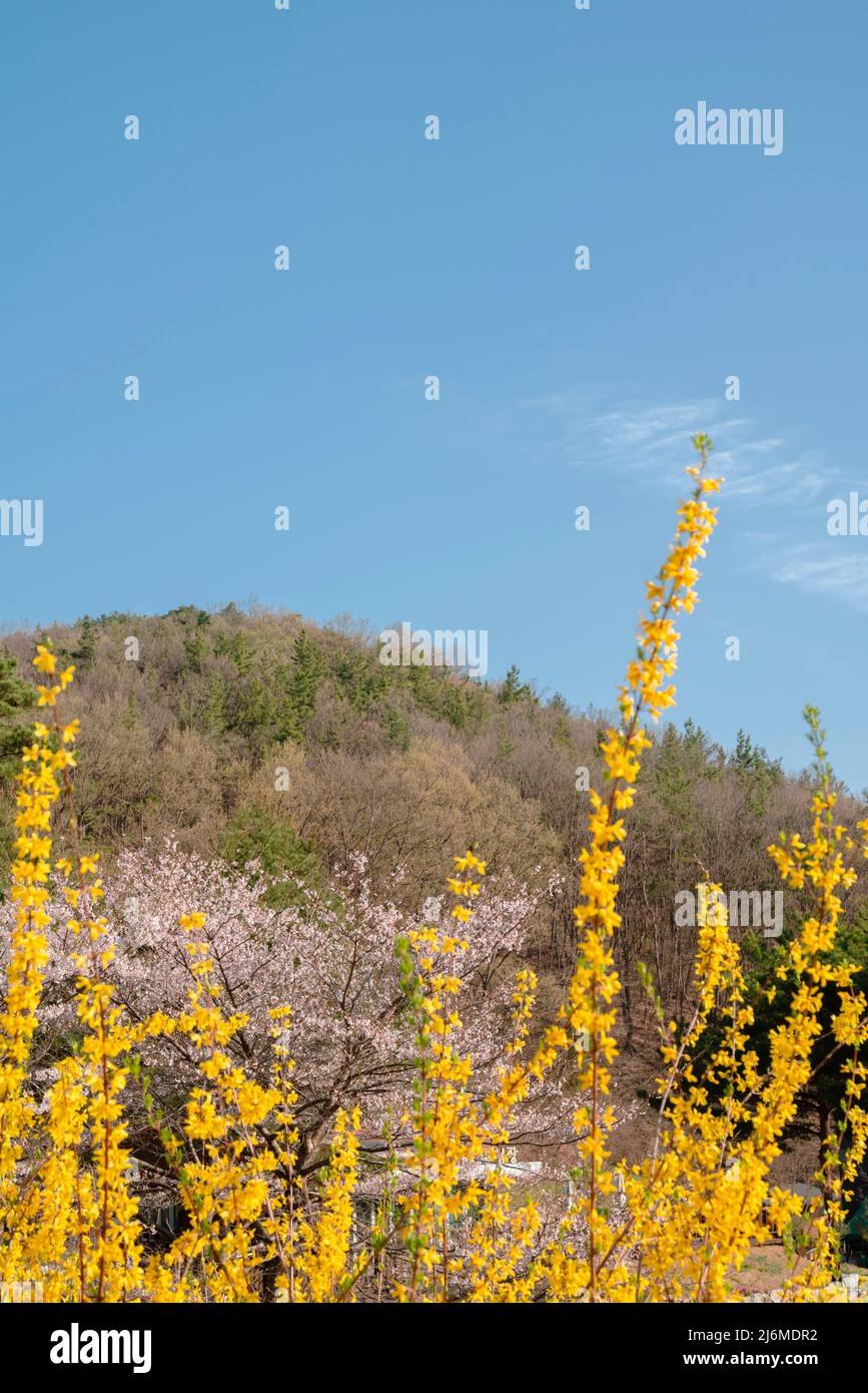 Spring of Sangdangsanseong Natural Recreational Forest in Cheongju ...