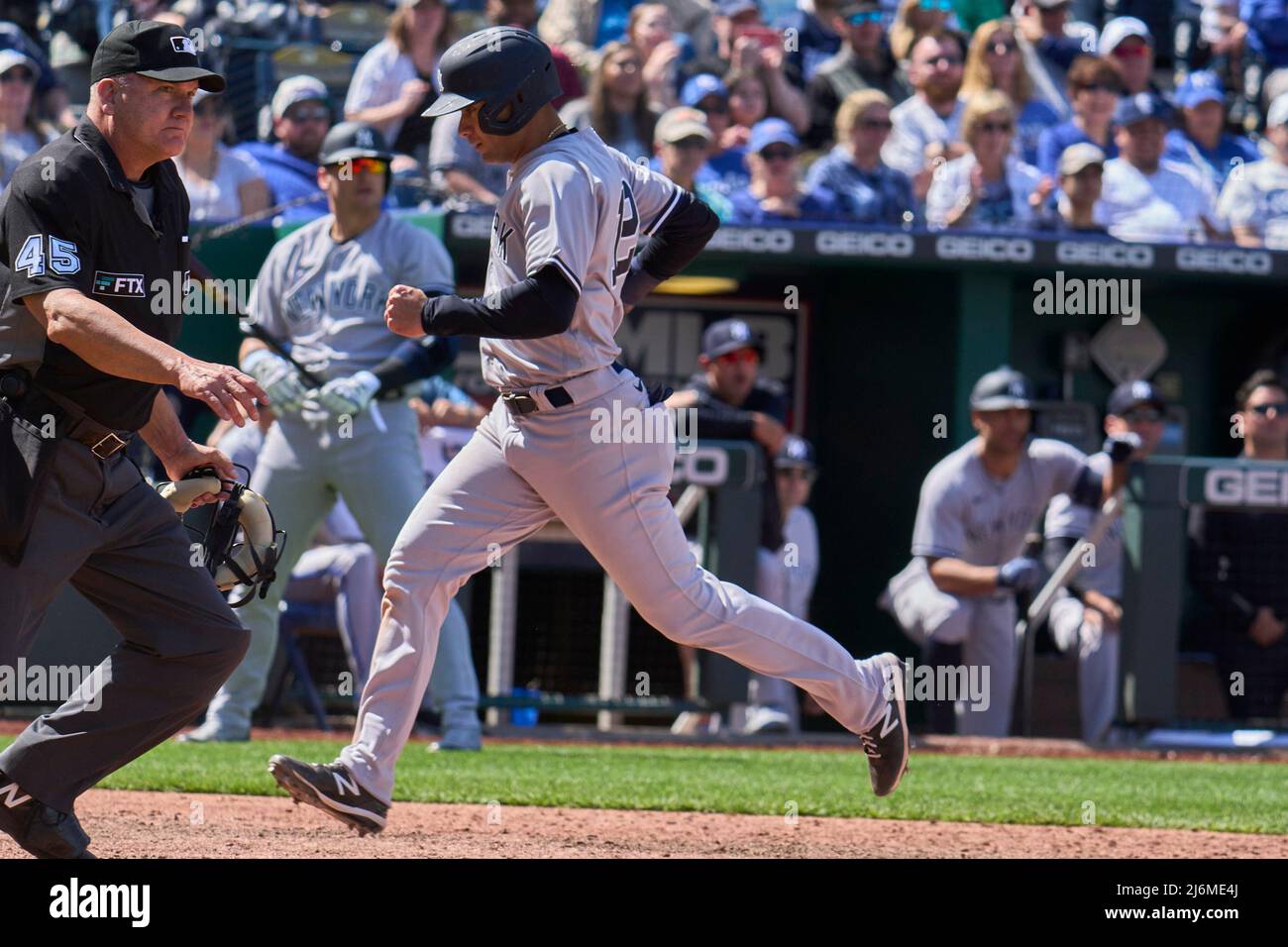 May 1 2022: New York shortstop Isiah Kiner-.Falefa (28) in action ...