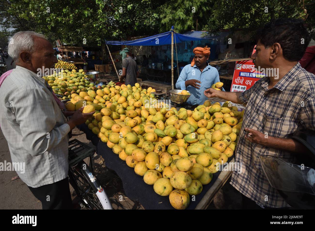 Mango vendor and customers. Sarsaiya Ghat road. Civil Lines. Kanpur ...