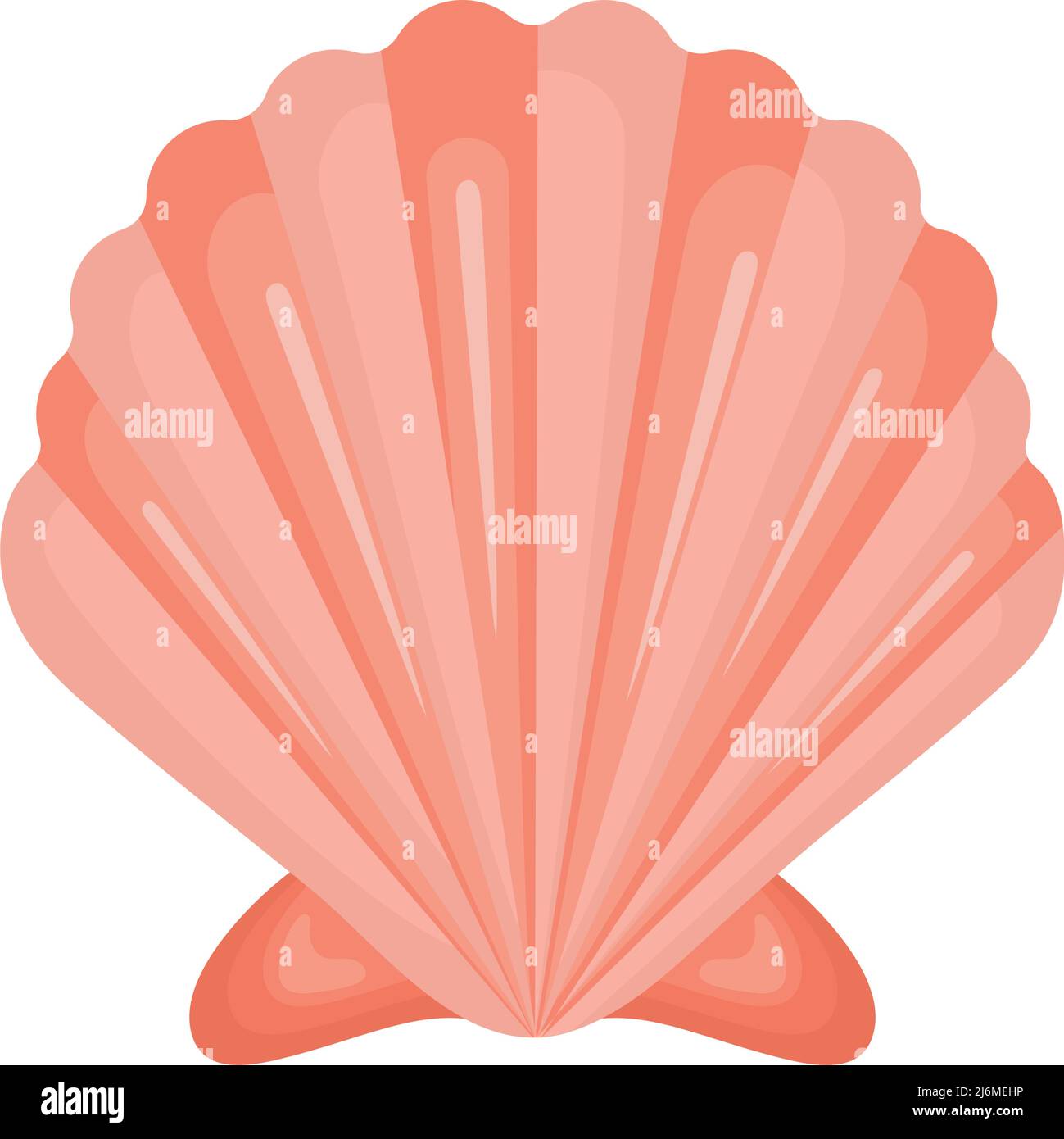 pink seashell design Stock Vector Image & Art - Alamy