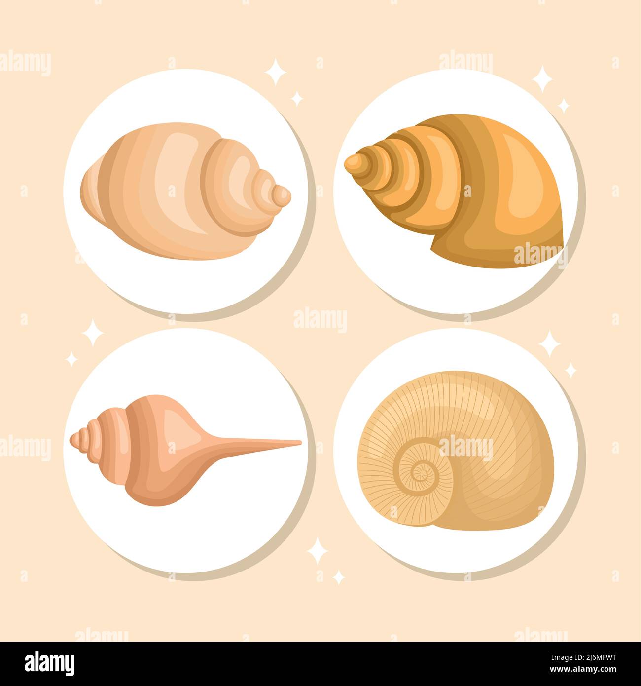 Four coral Stock Vector Images - Alamy