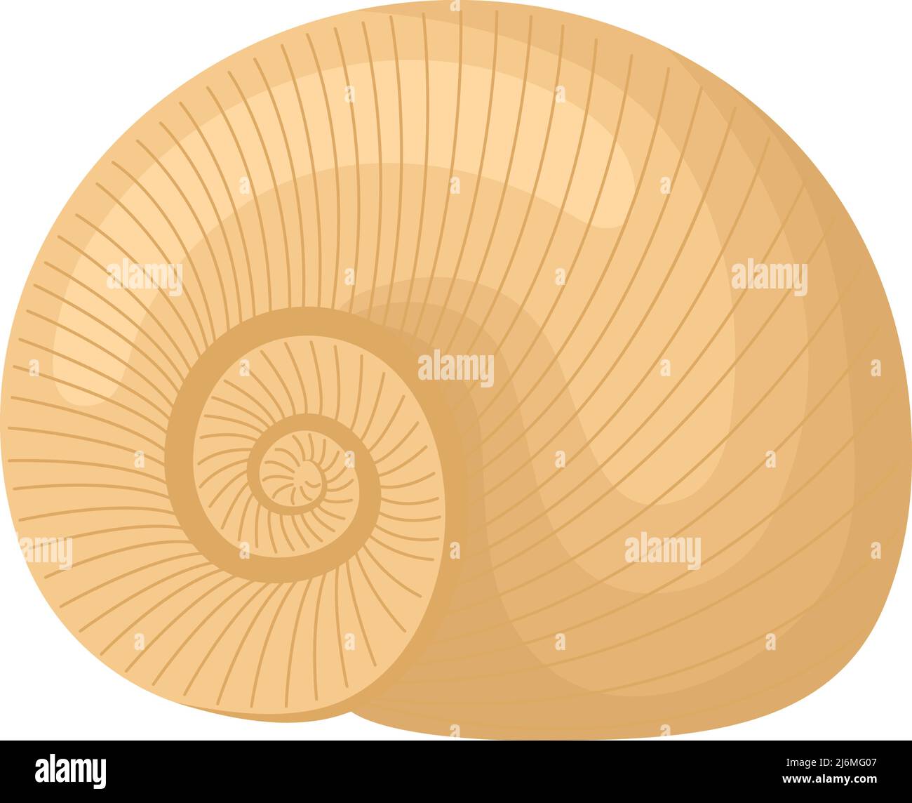 engraved seashell design Stock Vector Image & Art - Alamy