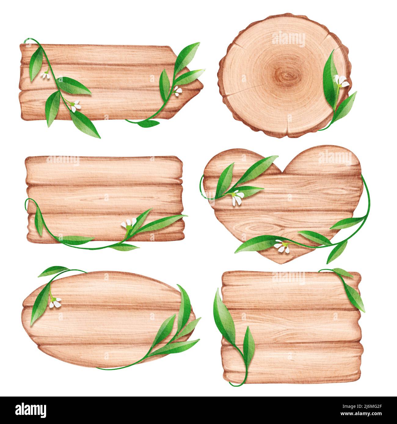 Wooden signboards with leaves. Signs with place for messages Stock ...