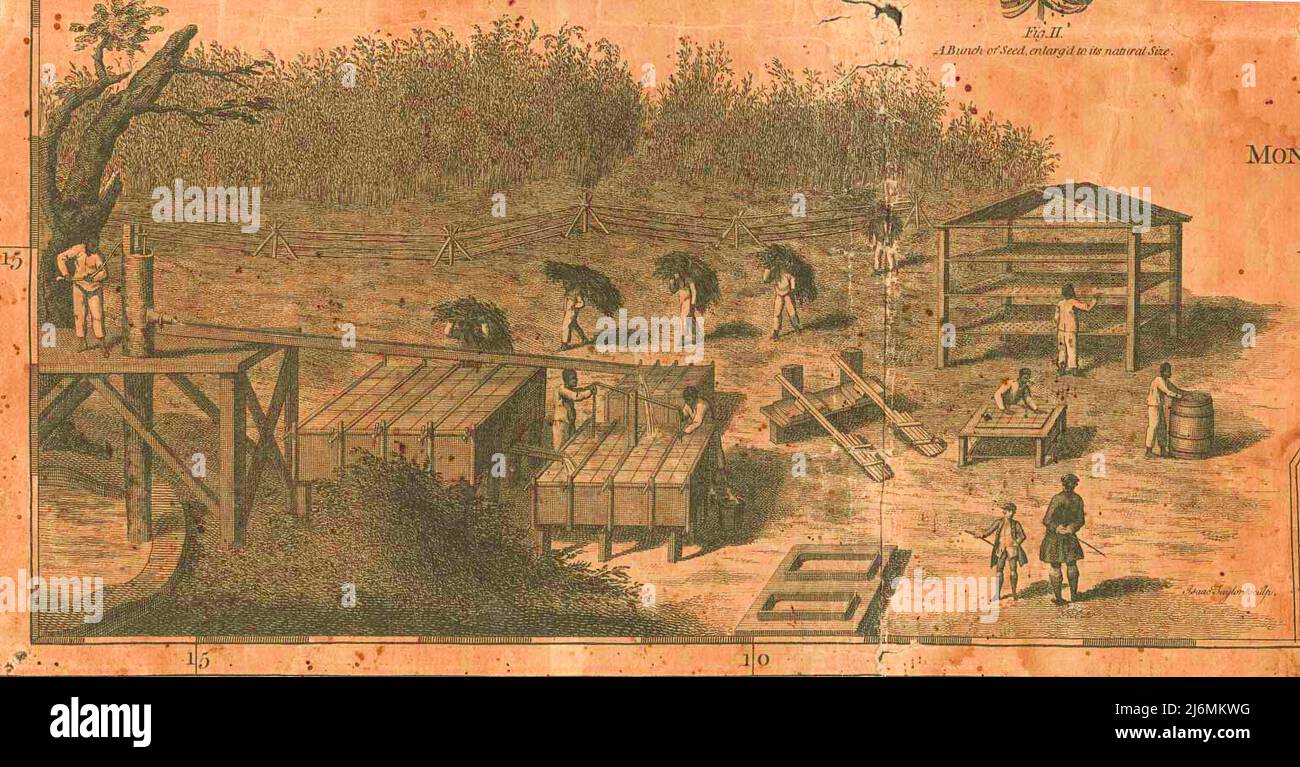 South Carolina Colony Native American