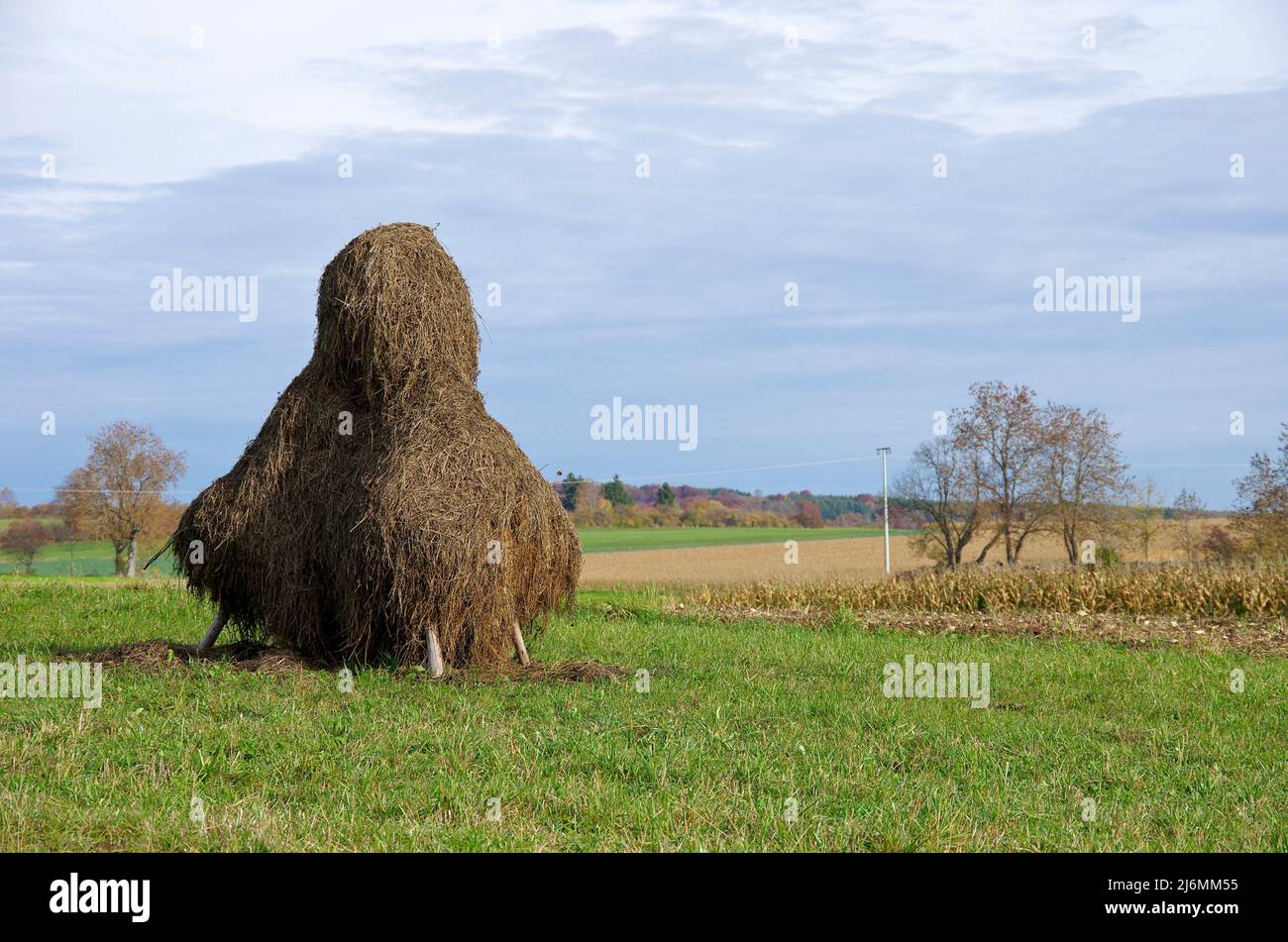 Wood drying plant hi-res stock photography and images - Alamy