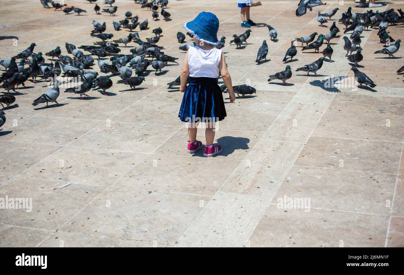 Bird child pigeon hi-res stock photography and images - Alamy